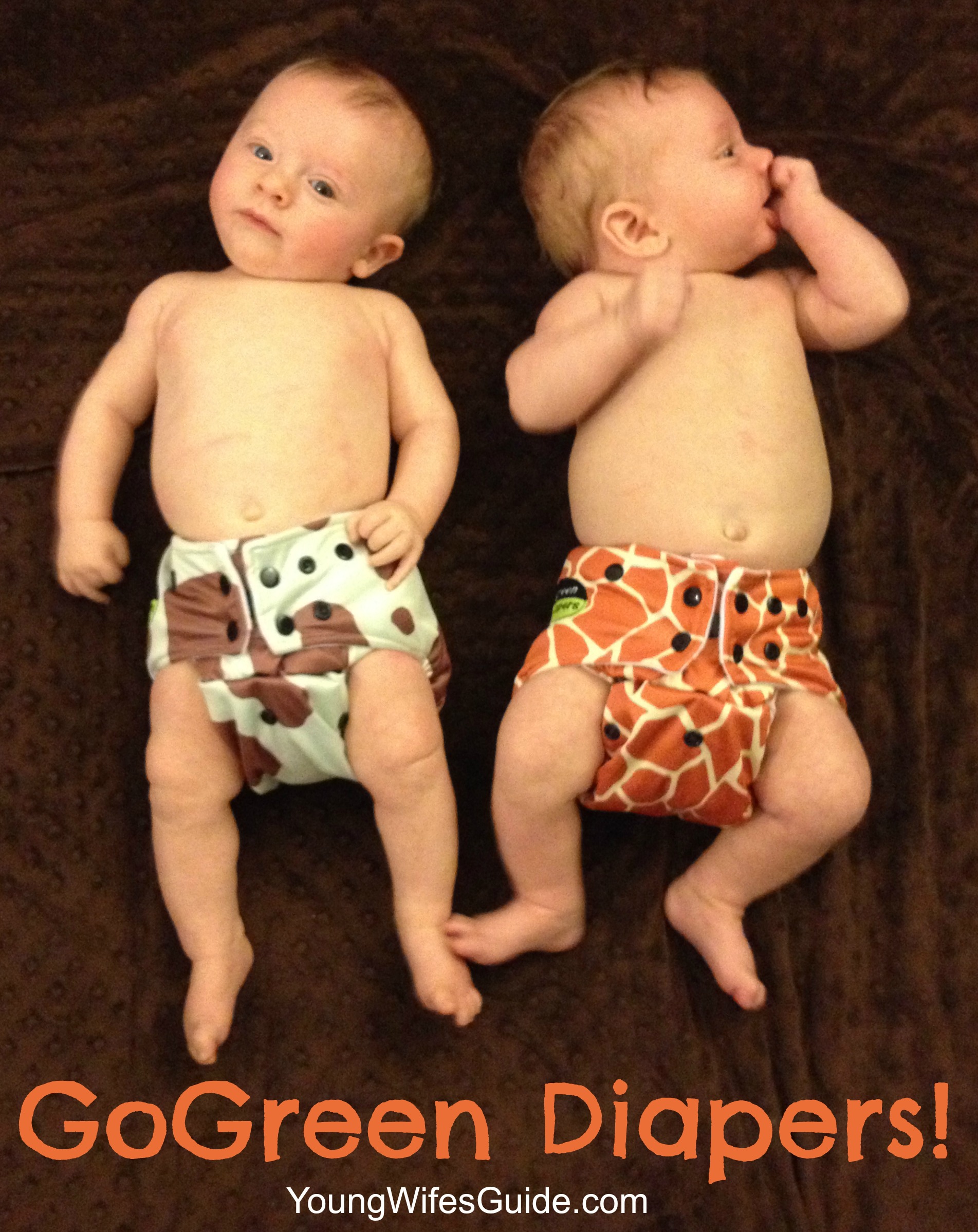 GoGreen Diapers!